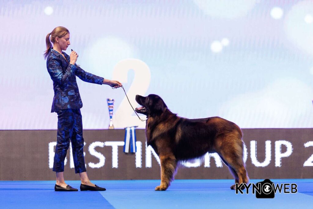 World Dog Show