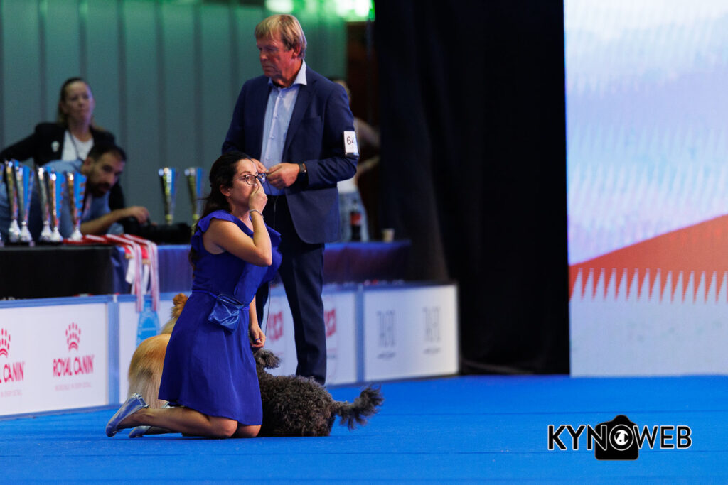 World Dog Show