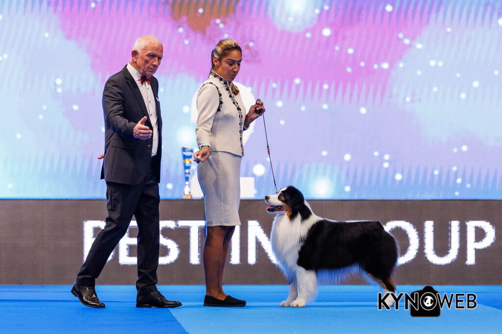 World Dog Show