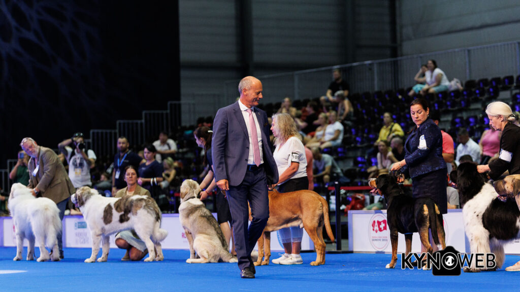 World Dog Show
