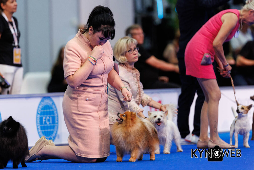 World Dog Show