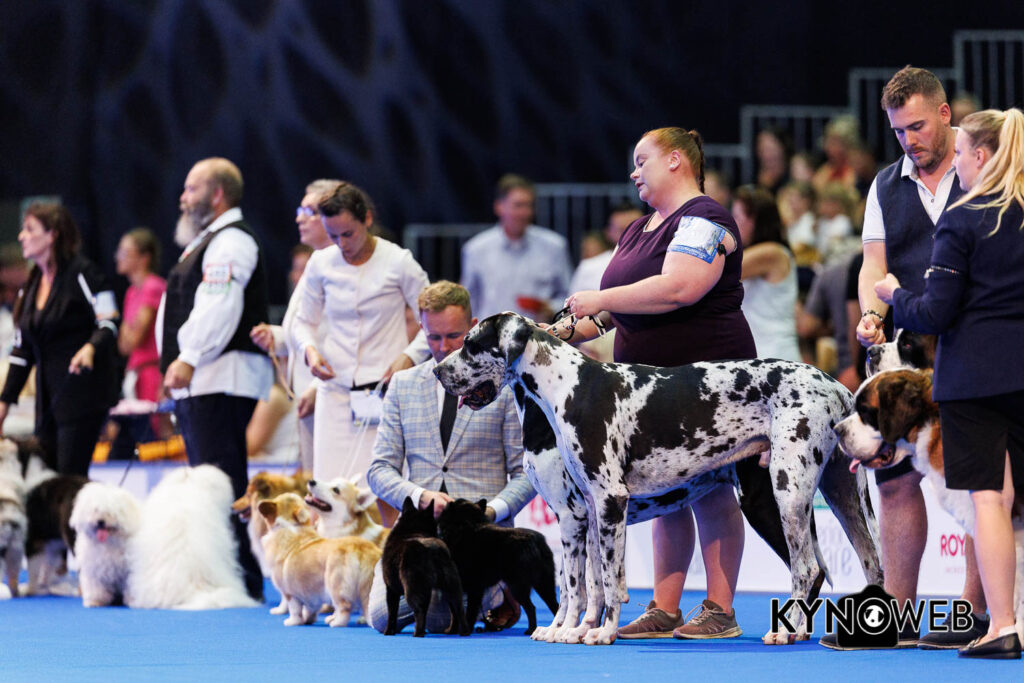 World Dog Show