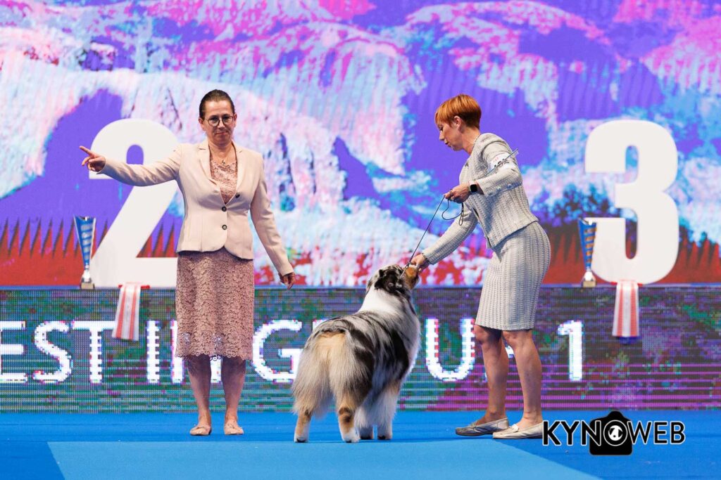 World Dog Show