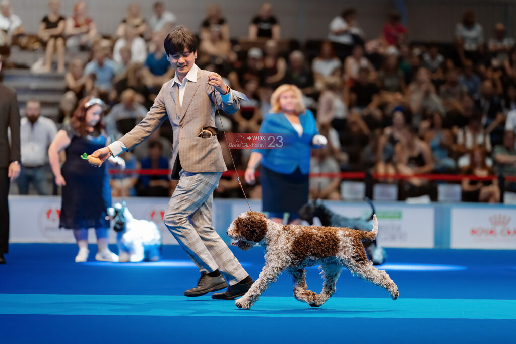 World Dog Show