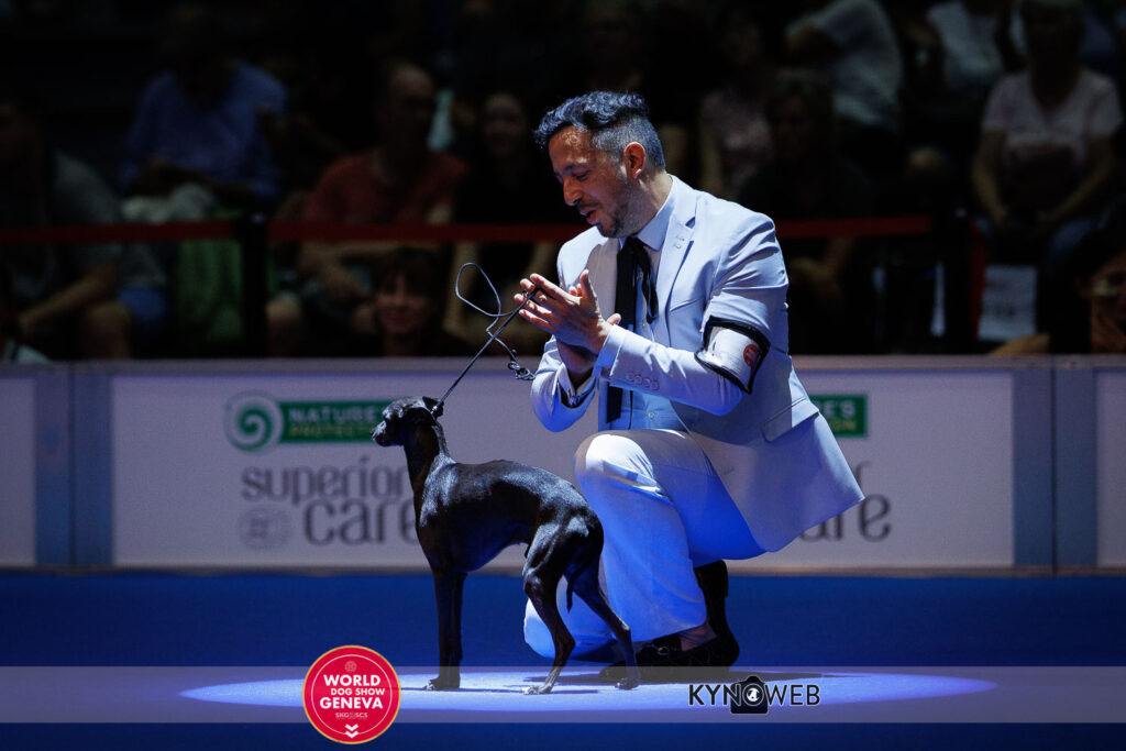 World Dog Show