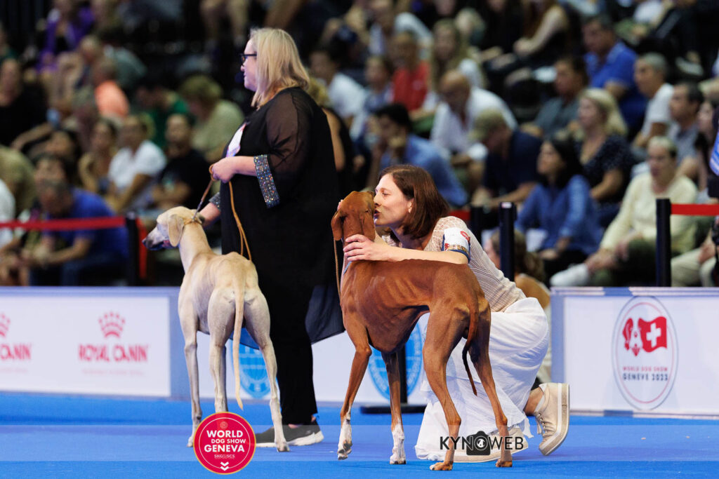World Dog Show